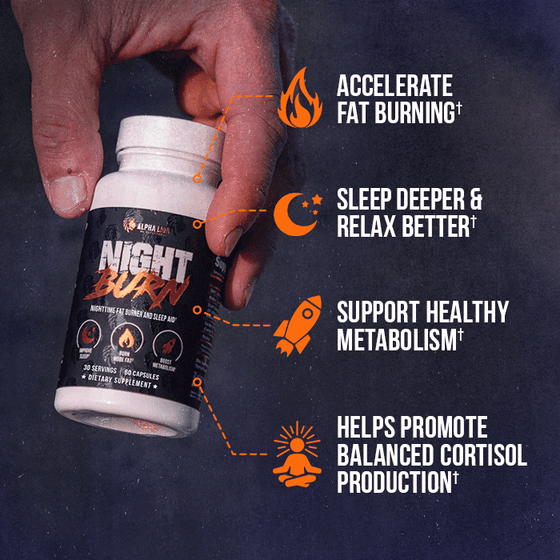 NIGHT BURN † - Nighttime fat burner + Sleep Aid – Alpha Lion