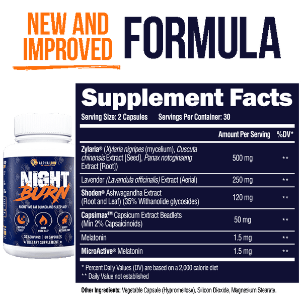 DAD BOD DESTROYER STACK - Burn Fat, Build Muscle, Look & Feel Great ...